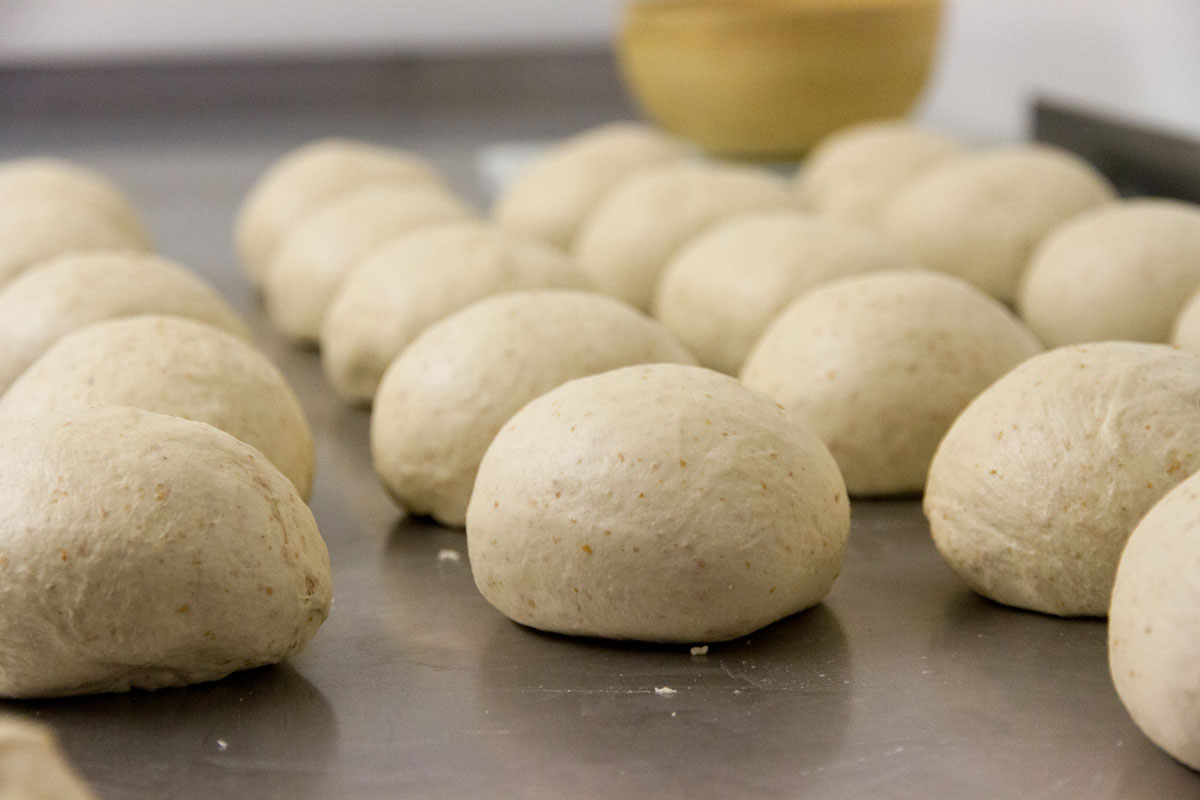 Pizza Dough | The Pizza Bike